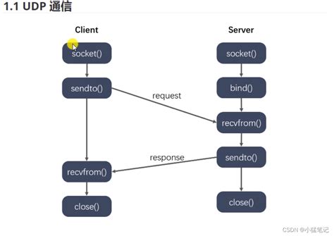 Udp通信实验、广播与组播、本地套接字socket Udp广播 Csdn博客
