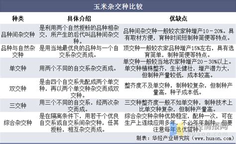 2020年中国杂交玉米制种现状分析，加大育种技术投入和研发，才能提升制种企业竞争力「图」 知乎
