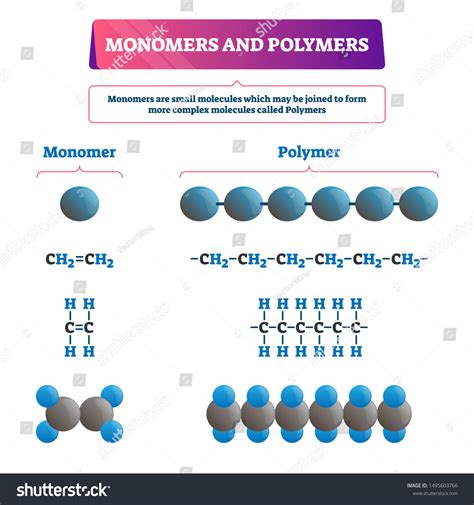Chemical Bonding Polymer Over 16 Royalty Free Licensable Stock Vectors