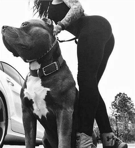 Пин от пользователя Massimiliano Romano на доске Foto Доберман Доберман пинчер Огромные собаки