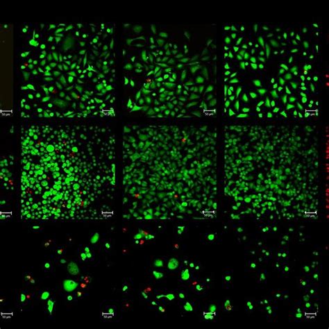 Endotoxin Detection Of Nanomaterial Samples A Illustrates The Download Scientific Diagram