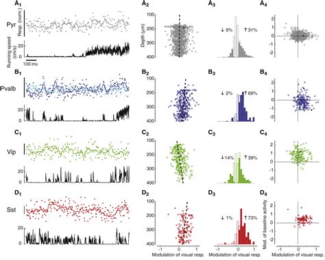 Vision And Locomotion Shape The Interactions Between Neuron Types In Mouse Visual Cortex Neuron