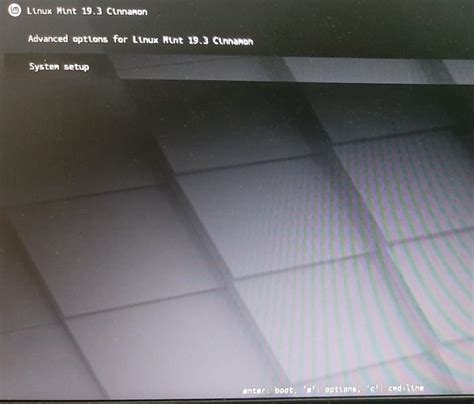 Fix Loading Initial Ramdisk Error On Linux Mint 19