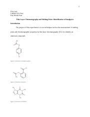 TLC Sample Lab Report Docx First Last CHEM Sect Day Month Year Thin Layer