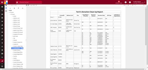 Basic Reporting Part V Faq How To Sort A Report With Both Individuals And Organizations