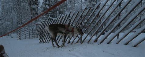 Livetを使ったcのwpfプログラミングwindowchromsampleプログラミングアカデミーuranウランのホームページ