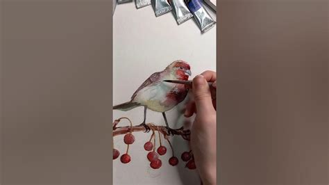 Солнечная осень рисуем птичку акварелью Youtube