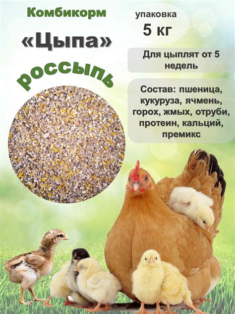 Купить комбикорм для цыплят в бикор новая заимка тюменской области — купить по низкой цене на