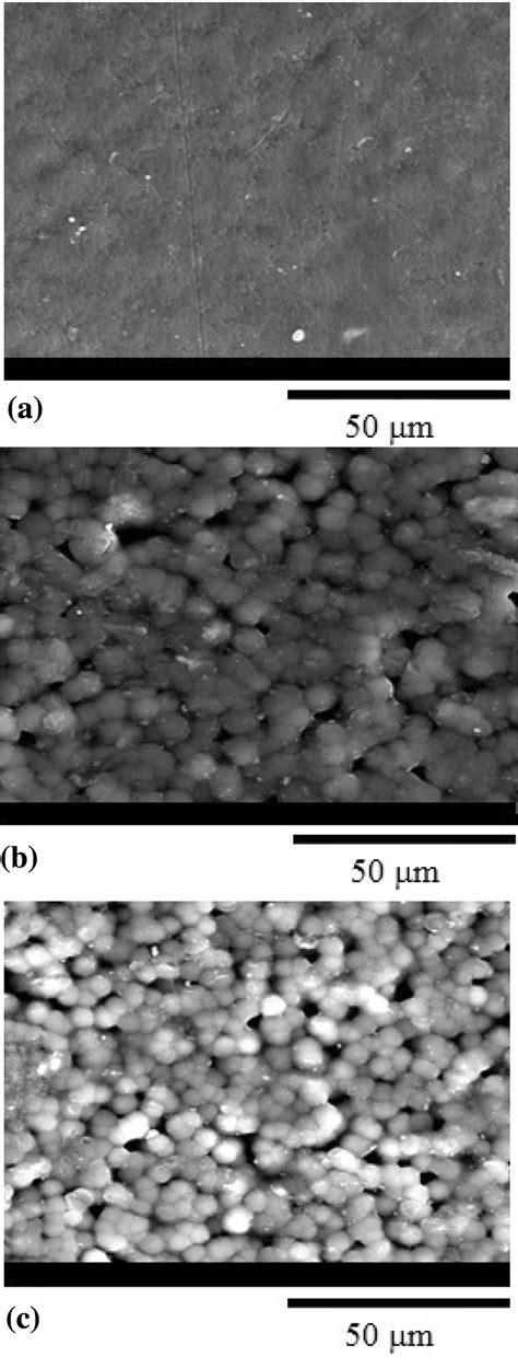SEM Micrographs Of A PVDF B RGO PVDF F 0 9 Vol And C RGO PVDF Download Scientific Diagram