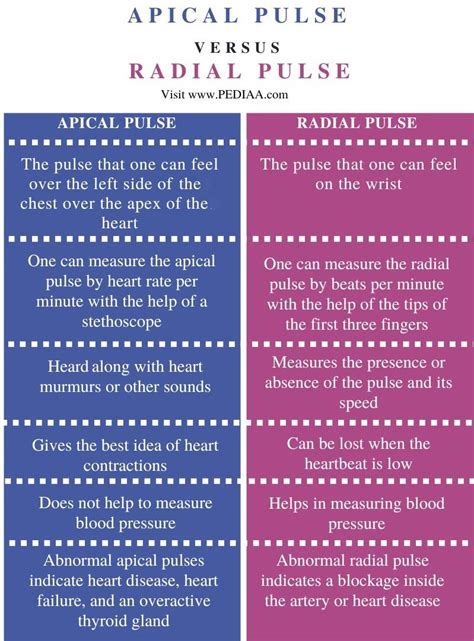 What Is The Difference Between Apical And Radial Pulse Pediaa Com