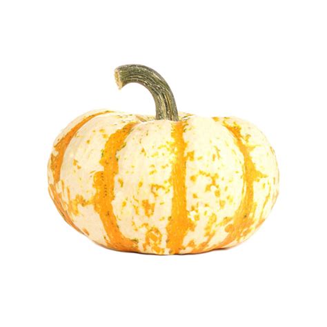 Buy Lil Tiger Pumpkin Halloween Fresh Pumpkins Online Uae Gulf Fruits