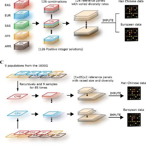 Research Design A The Design Of Imputation Accuracy Versus Reference Download Scientific