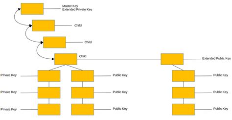 hierarchical deterministic wallets thebtcindex