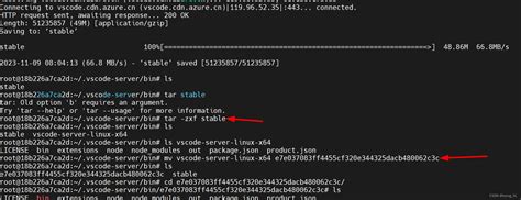 Vscode 访问本地或者远程docker环境、linux服务器环境vscode怎么使用docker Csdn博客