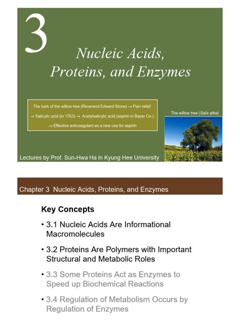 20 2 Biology Lecture 7 Ch03 Nucleic Acids Pdf