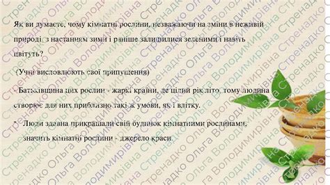 5 клас НУШ Проєкт №8 Вирощування рослин та догляд за ними Урок 1 Вибір та обгрунтування теми