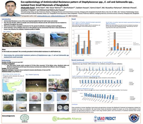 Pdf Eco Epidemiology Of Antimicrobial Resistance Pattern Of