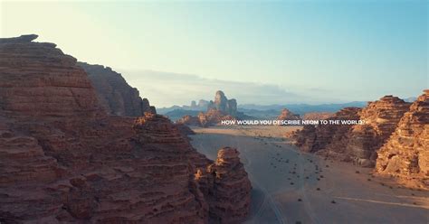 Talha Bin Tahir Posted On Linkedin