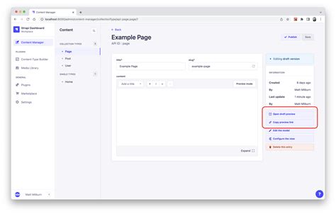 Strapi Plugin Preview Button Npm