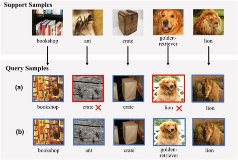 Example Results With Without Relation Constraint Module For Few‐shot Download Scientific