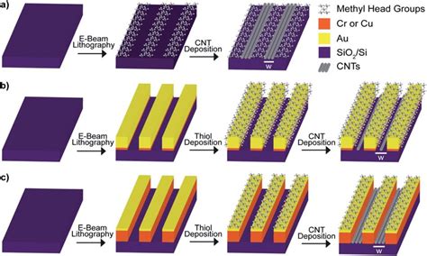 Schematics For S Cnt Array Fabrication Using A Chemical Patterns