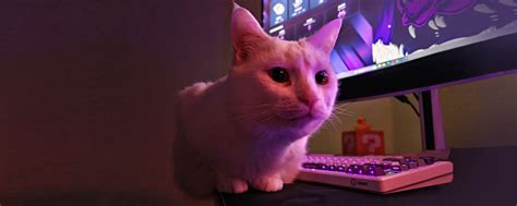 How To Clean Gaming Mouse In 2024 Gaming Accessories Lorgar Blog