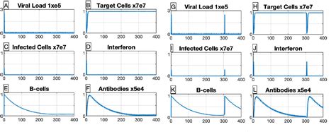 Figure 1 From An Immuno Epidemiological Model For Transient Immune