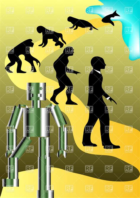 Human Evolution Vector At Collection Of Human