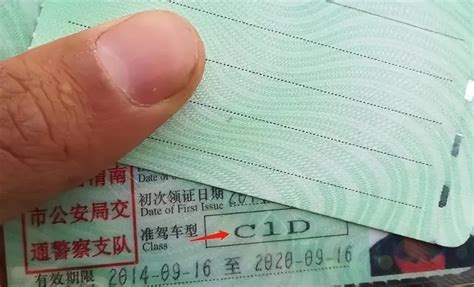 明确了C1可以增驾D驾照交警满足1个条件就能成功增驾C1D 哔哩哔哩