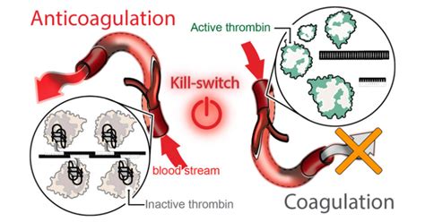 Anticoagulation