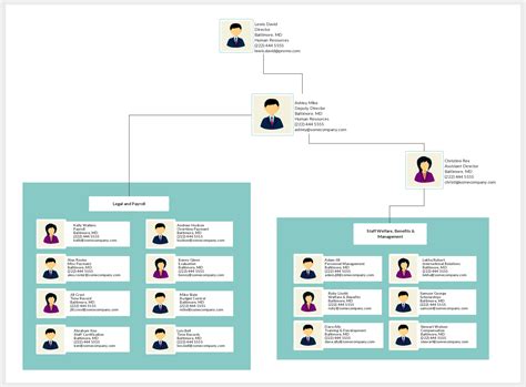 Organizational Chart Templates For Your Department