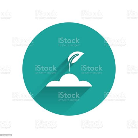 긴 그림자로 격리 된 흰색 새싹 아이콘입니다 종자 및 묘목 나뭇잎 기호입니다 잎 자연입니다 녹색 원 버튼입니다 벡터 일러스트레이션 0명에 대한 스톡 벡터 아트 및 기타