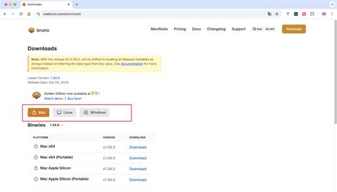 一款开源的调试工具 bruno 介绍及使用教程