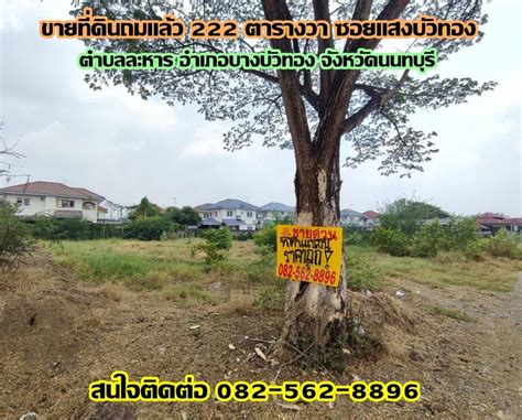 ขายที่ดินถมแล้ว 222 ตารางวา ซอยแสงบัวทอง บางบัวทอง นนทบุรี Ennxo