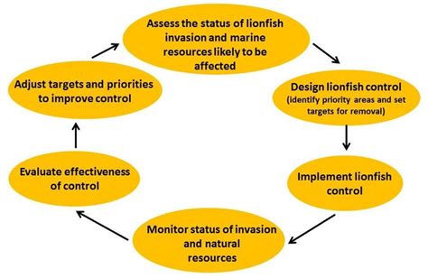 1 Monitoring Is An Integral Component Of The Adaptive Management Cycle Download Scientific