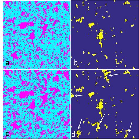 Two Successive Iterations Of The Models Dynamics Of The Lower Layer