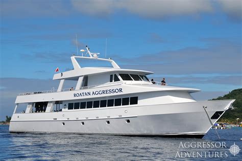 Roatan Aggressor Zublu