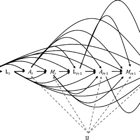 Hypothesized Causal Relationships Between Baseline Covariates C