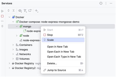 Docker Compose Webstorm Documentation