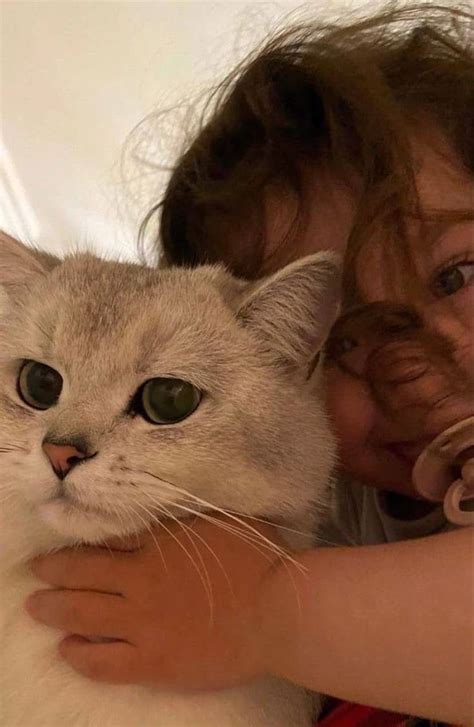 بدون حقوق صور Funny رمزيات صوربروفايل صورباد مسلسلات تيكتوك