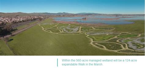 Pacific Flyway Center The Future Outdoor Writers Association Of