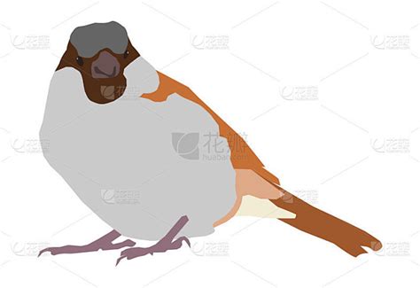 可爱的家麻雀卡通，矢量贴纸，五颜六色棕色，黄色，灰色和黑色，孤立在白色背景上