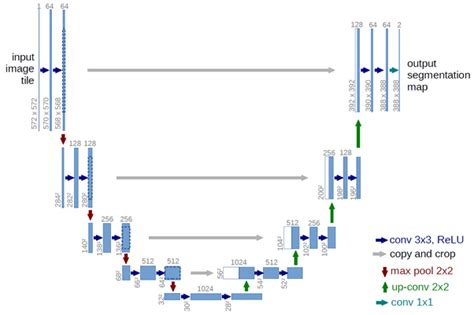 Original Unet Architecture With Down Sampling And Upsampling
