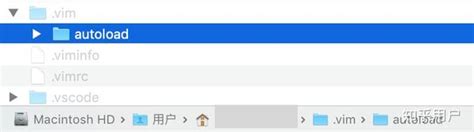 Vim Plug 代码补全插件 无法 Git下载，手动安装步骤 知乎