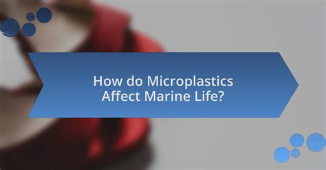 The Impact Of Microplastics From Fast Fashion On Marine Life Primark