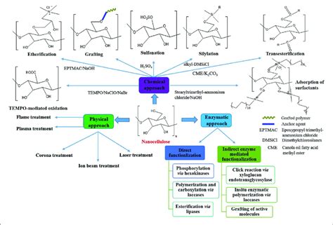 Schematic Representation Of The Most Commonly Used Surface Download Scientific Diagram