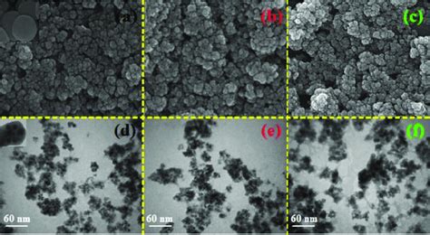 SEM Images Of A SiO 2 Fe 3 O 4 B G2 SiO 2 Fe 3 O 4 And C SO Download Scientific