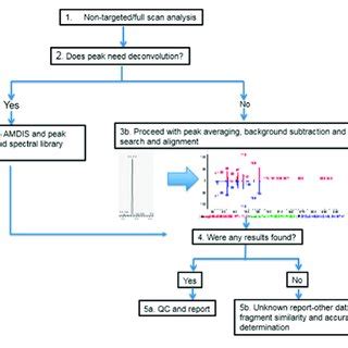 Non Targeted Workflow Download Scientific Diagram