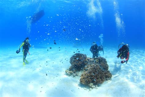 結果・・・全てがうまく行った渡嘉敷島ツアー 湘南 平塚のダイビングショップ ホクレア湘南