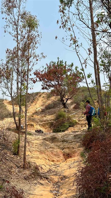 髻山天水圍行山朗屏站一小時登頂 訪魚塘日落打卡位 山全部都係山
